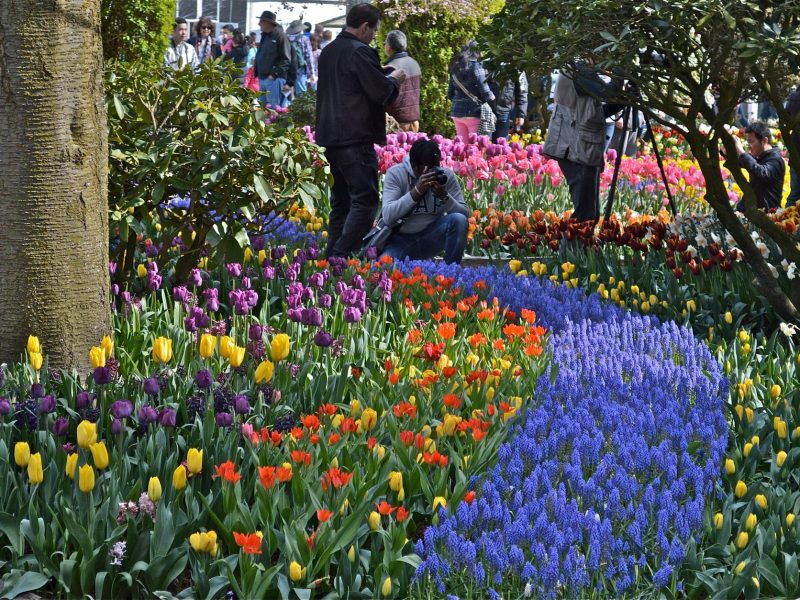 Customized Tours | Seattle's Fun Tour Guide | 888.554.8687